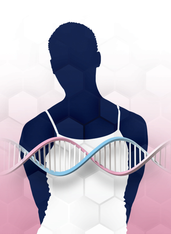 Risk Assessment And Genetic Testing Breastlink